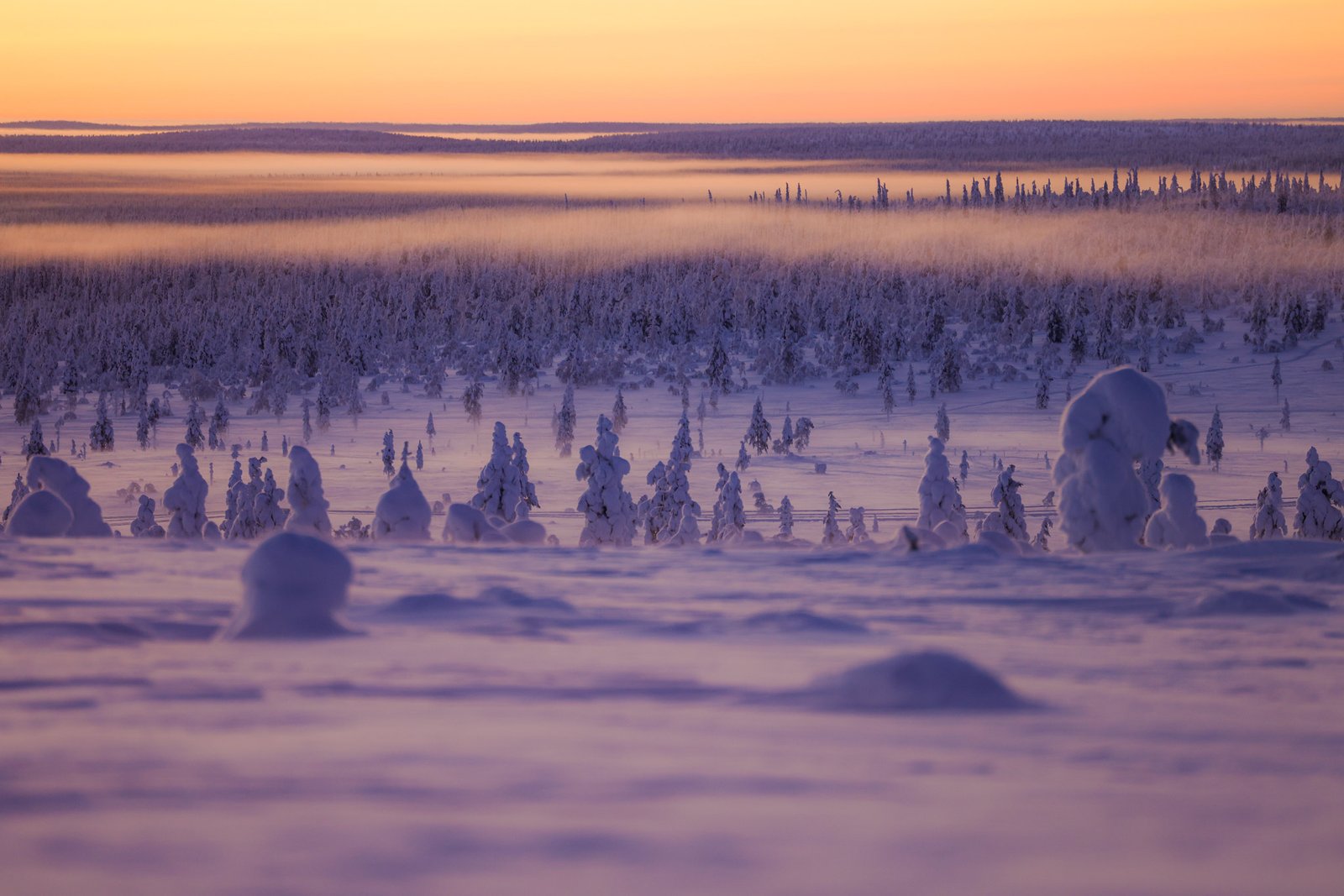Winter Holiday Week in Lapland : Accommodation & Activities