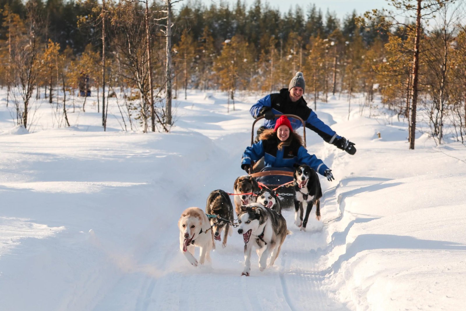 Husky adventure from Levi (10km) | Lapland Finland