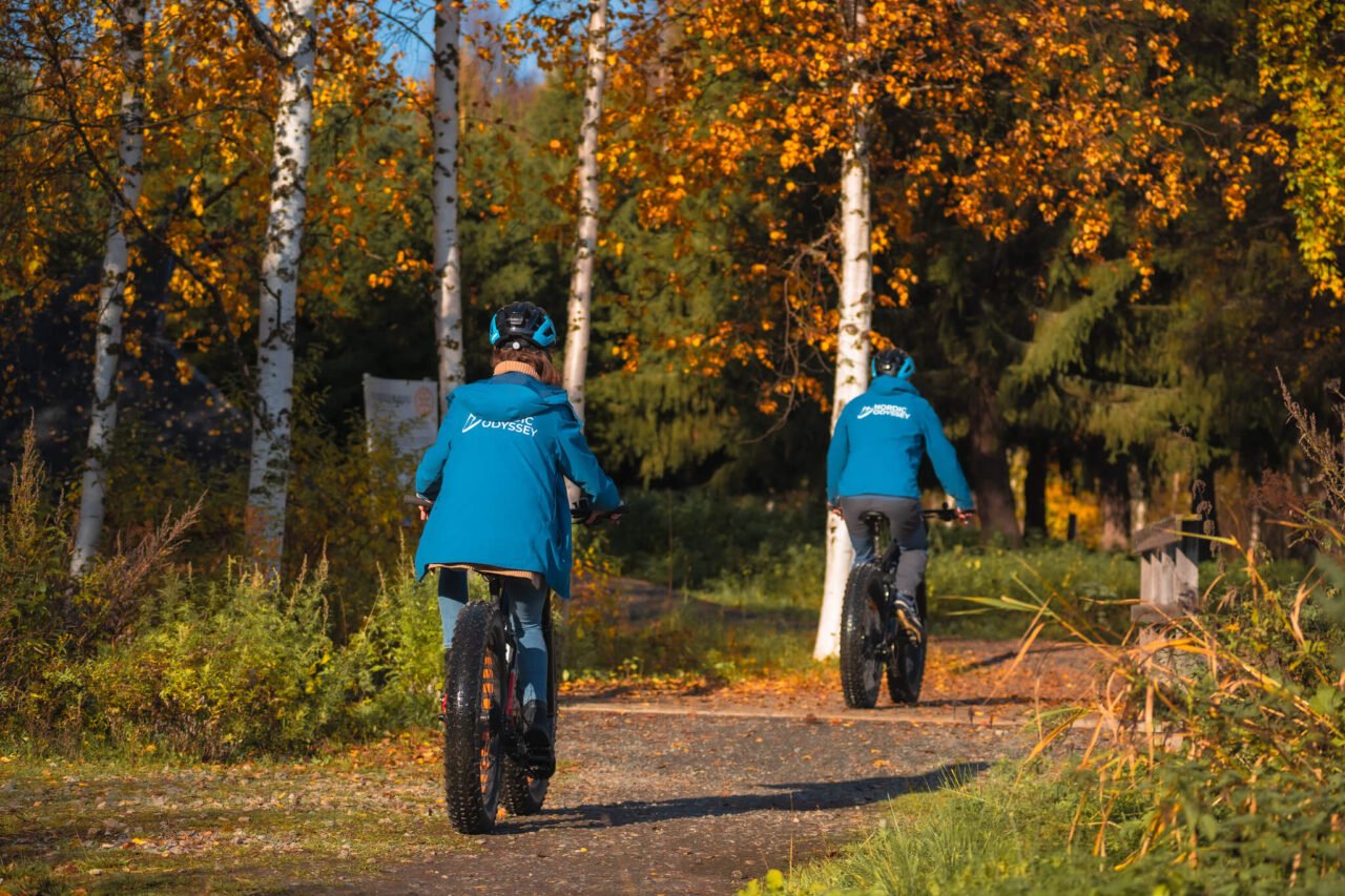 Quand partir en Laponie ? | Guide des saisons à Rovaniemi