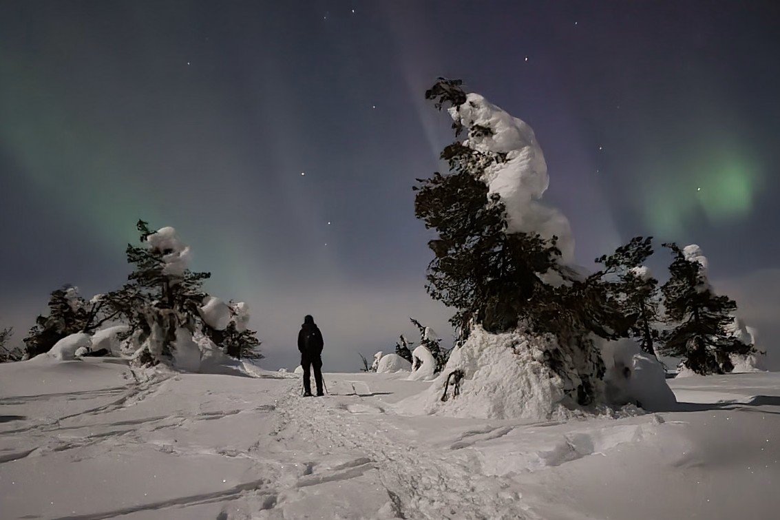 Snowshoe Night Sky Tour From Ruka